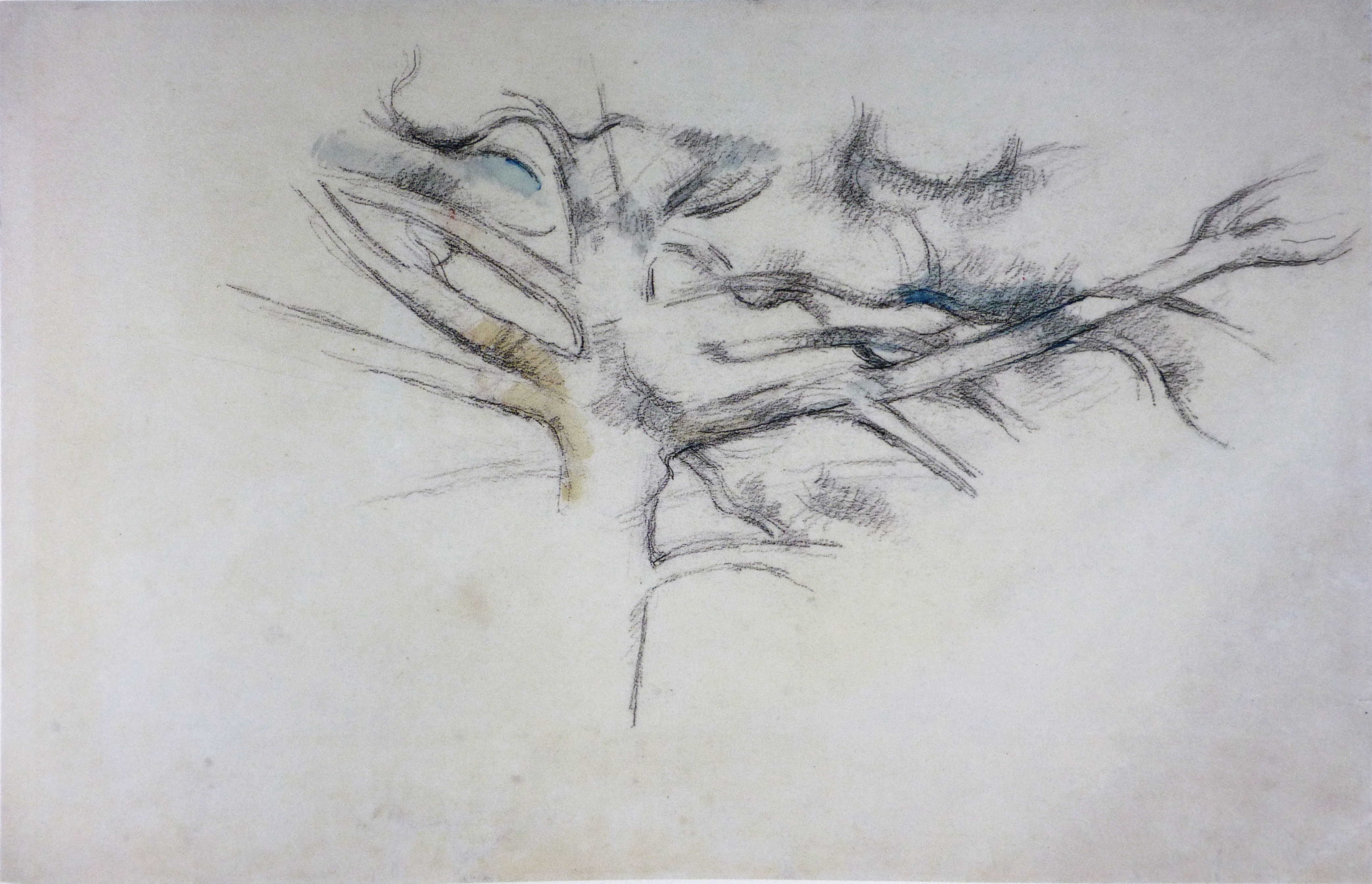 Grand Pin et terres rouges (Bellevue), vers 1885 (R537 FWN221 ...